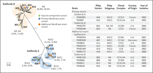 A Bivalent Meningococcal B Vaccine in Adolescents and Young Adults,The ...