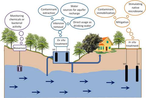 Opportunities for groundwater microbial electro‐remediation,Microbial ...