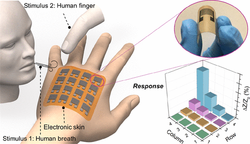 All-Graphene-Based Highly Flexible Noncontact Electronic Skin,ACS ...