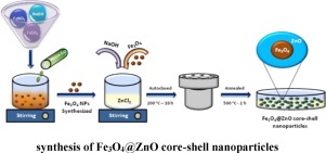 Phyto and hydrothermal synthesis of Fe 3 O 4 @ZnO core-shell ...