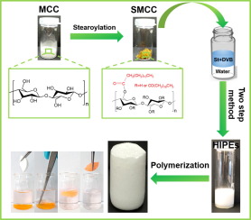 Water-in-oil Pickering emulsions stabilized by stearoylated ...