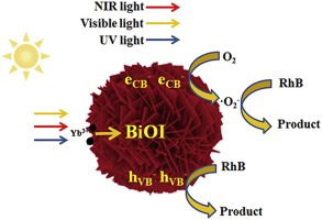 具有促进光催化性能的上转换Yb 3+ 掺杂微球BiOI的制备,Solid State Sciences - X-MOL