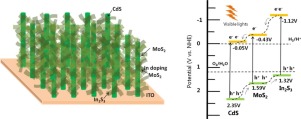 Constructing 1D Hierarchical Heterostructures of MoS 2 /In 2 S 3 Nanosheets on CdS Nanorod ...