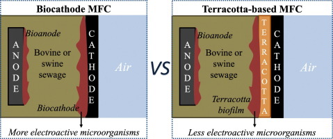 A study of microbial communities on terracotta separator and on ...