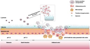 Redox-sensitive nanoparticles based on 4-aminothiophenol-carboxymethyl ...
