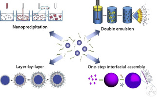 Engineering and delivery of nanocolloids of hydrophobic drugs,Advances ...