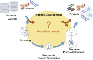 Bioprocess microfluidics: applying microfluidic devices for ...