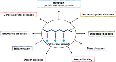 聚合物-药物缀合物在非癌症应用中的可行性,Current Opinion in Colloid & Interface Science - X-MOL