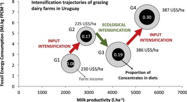 Energy and economic efficiency in grazing dairy systems under ...
