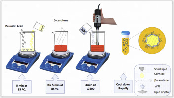 Enhancing the physicochemical stability of β-carotene solid lipid ...
