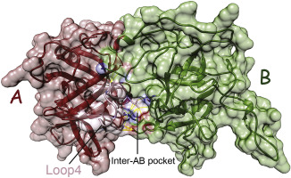 Crystal structure of ryanodine receptor N-terminal domain from Plutella ...