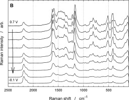 Raman spectroelectrochemical study of electrode processes at hybrid ...