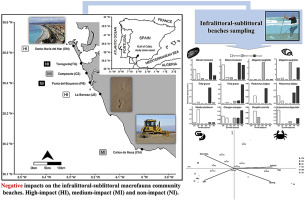 Infralittoral-sublittoral (submerged zone) macroinfauna community ...