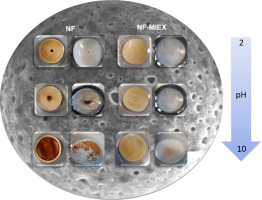 Organic Fouling through Magnetic Ion Exchange‐Nanofiltration (MIEX‐NF ...
