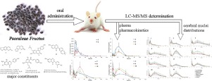 Plasma pharmacokinetics and cerebral nuclei distribution of major ...