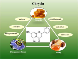 Chrysin: Sources, beneficial pharmacological activities, and molecular ...