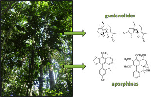 Guaianolide sesquiterpene lactones and aporphine alkaloids from the ...