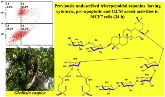 Triterpenoidal saponins from the fruits of Gleditsia caspica with ...