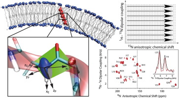 Solid-state NMR methods for oriented membrane proteins,Progress in ...