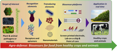 Agro-defense: Biosensors for food from healthy crops and animals,Trends ...