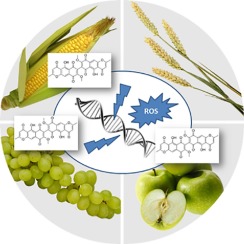 次生镰刀菌代谢物 aurofusarin 在人结肠细胞中诱导氧化应激、细胞毒性和基因毒性,Toxicology Letters - X-MOL