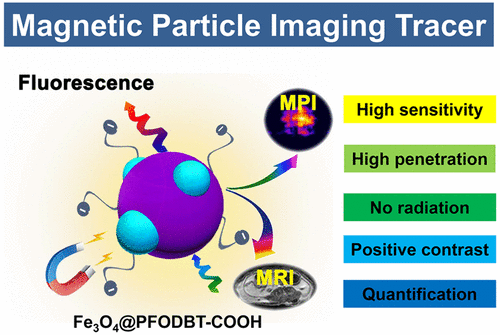 Janus Iron Oxides @ Semiconducting Polymer Nanoparticle Tracer for Cell ...