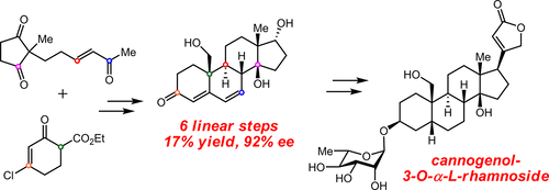 Enantioselective Total Synthesis of Cannogenol-3-O-α-l-rhamnoside via ...