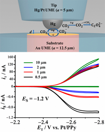 Detection of CO2· in the Electrochemical Reduction of Carbon Dioxide in ...