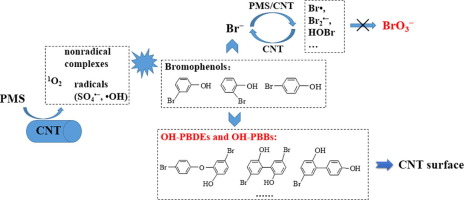 Oxidation of bromophenols by carbon nanotube activated ...