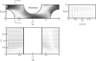 Three-dimensional turbulent flow and conjugate heat and mass transfer ...