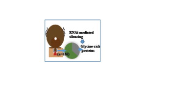 Identification and characterization of proteins in the Amblyomma ...