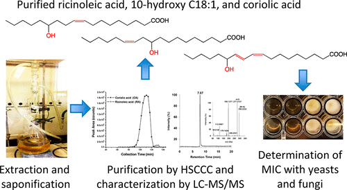 High-Speed Counter-Current Chromatography (HSCCC) Purification of ...