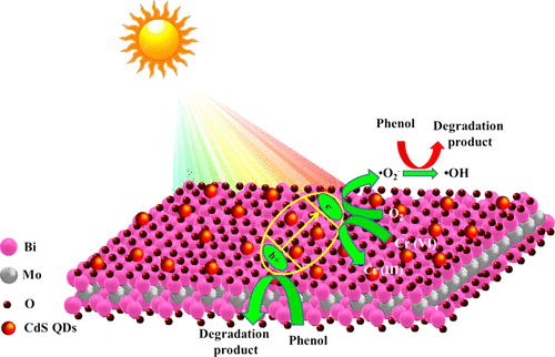 CdS QDs-Decorated Self-Doped γ-Bi2MoO6: A Sustainable and Versatile Photocatalyst toward ...