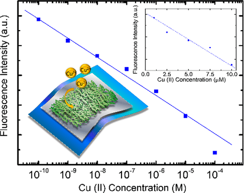 All Organic Label-like Copper(II) Ions Fluorescent Film Sensors with ...