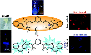 A ratiometric fluorogenic probe for the real-time detection of SO32− in ...