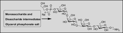 Concise Synthesis of the Phosphoglycerylated Tetrasaccharide Repeating Unit of the Capsular ...
