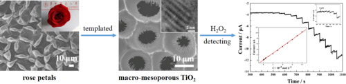 Rose petal and P123 dual-templated macro-mesoporous TiO2 for a hydrogen ...