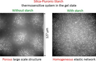 Structural, microrheological and kinetic properties of a ternary silica ...
