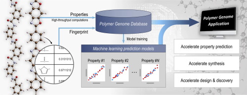 Scoping the polymer genome: A roadmap for rational polymer dielectrics ...