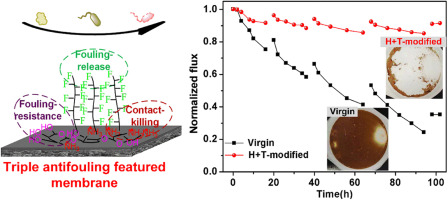 Triple antifouling strategies for reverse osmosis membrane biofouling control,Journal of ...
