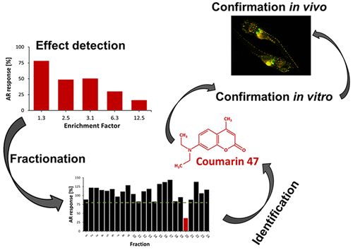 Identification of Unknown Antiandrogenic Compounds in Surface Waters by ...
