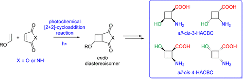 A Photochemical Route to 3- and 4-Hydroxy Derivatives of 2 ...