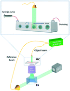 Full-angle tomographic phase microscopy of flowing quasi-spherical ...