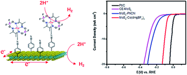 Cobaloxime anchored MoS2 nanosheets as electrocatalysts for the ...
