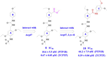 Discovery of novel high potent and cellular active ADC type PTP1B ...