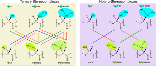 Ternary Stereocomplex and Hetero-Stereocomplex Crystallizability of ...