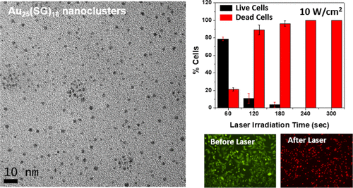 Atomically Precise Au25(SG)18 Nanoclusters: Rapid Single-Step Synthesis and Application in ...