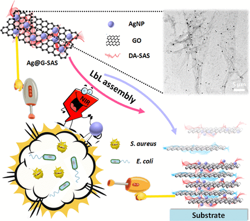 Mussel-Inspired Synthesis of NIR-Responsive and Biocompatible Ag ...