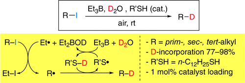 D2O 的自由基氘化：催化和机理洞察,Journal of the American Chemical Society - X-MOL