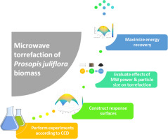 Microwave torrefaction of Prosopis juliflora : Experimental and modeling study,Fuel Processing ...